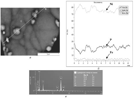 The Sem Microstructure Of The Ni P Coating а The Line X Ray