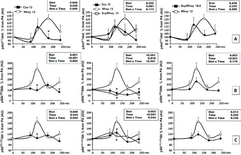 Muscle Akt S6k 1 And S6 Activation Measured After Different Time