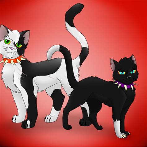 Как нарисовать кота воителя бича 13 фото