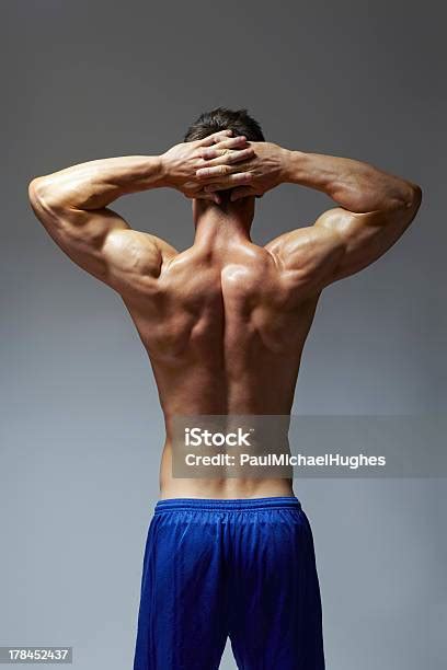 근육질의 젊은 남자 성과향상을 촉진하는 유연한 암 근육을 스포츠 아웃핏 강사에 대한 스톡 사진 및 기타 이미지 강사 건강한