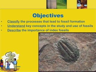 Fossils PPS Geology Science