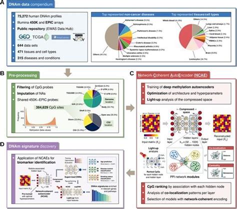 Ncae Data Driven Representations Using A Deep Network Coherent Dna
