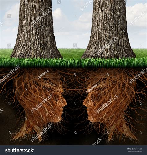 Business Roots Concept Partnership Relationship Two Stock Illustration 163771793 Shutterstock