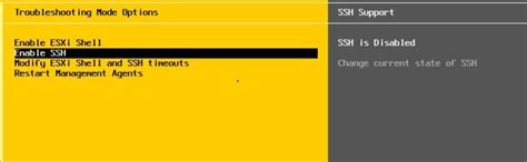 Solved Hostname Resolution Fail In Esxi Host Test Management