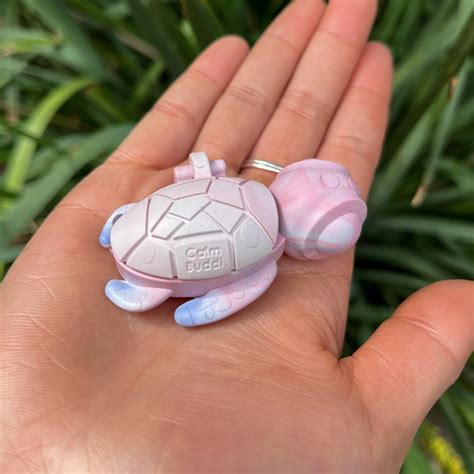 Cloud Turtle — Defy