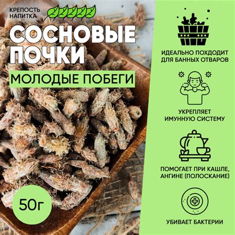 Напиток из Сосновых почек, Добавка к чаю (Молодые побеги почек сосны ...
