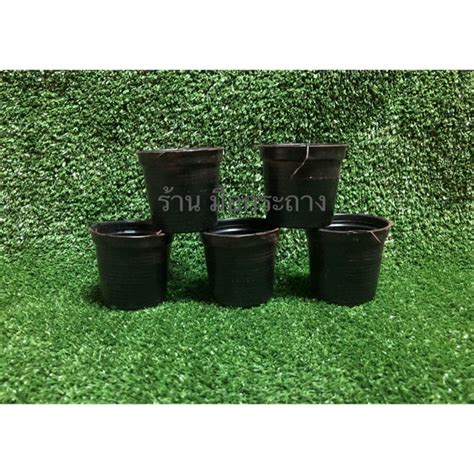 กระถาง 4 นิ้ว จำหน่ายเป็นโหล 12 ใบ Shopee Thailand