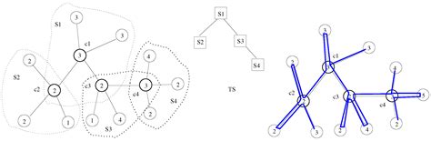 degree constrained minimum spanning hierarchies in graphs