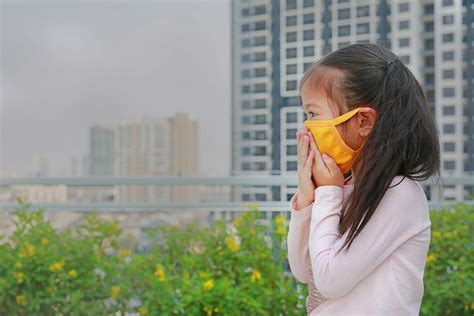 La Contaminación Del Aire Afecta Profundamente Las Capacidades