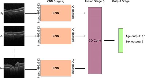 Overview Of The CScan Method Features Of Every Independant BScan Are Download Scientific