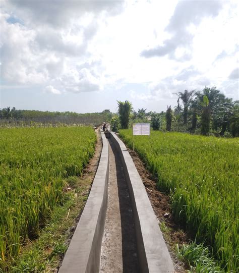 Kementan Realisasikan Program Irigasi Pertanian AgroIndonesia
