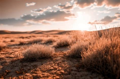 Dry Field Grass Landscape In Peach Fuzz Tones Stock Illustration Dry Field Grass Landscape In Peach Fuzz Tones Stock Illustration