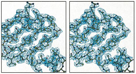 Stereoview Of The 3fo − 2fc Electron Density Map Contoured At The 1s