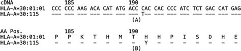 Alignment Of Partial Exon 4 Sequence Of The New Allele Hla‐a30115 And