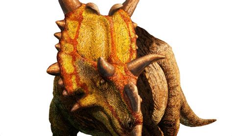 Horned Xenoceratops Fossil Found In Alberta Canada Oldest Ever