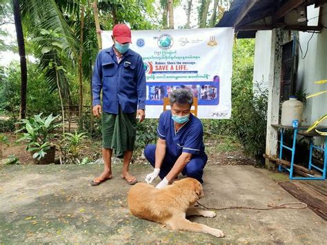 ၁၅ ကြိမ်မြောက် ကမ္ဘာ့ခွေးရူးရောဂါ ကာကွယ်တိုက်ဖျက်ရေးနေ့အထိမ်းအမှတ်အဖြစ် ပန်းတနော်မြို့ ၌ ခ