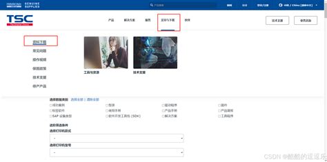 Vue项目联调tsc的ttp系列打印机，实现打印tsc Printserver Csdn博客