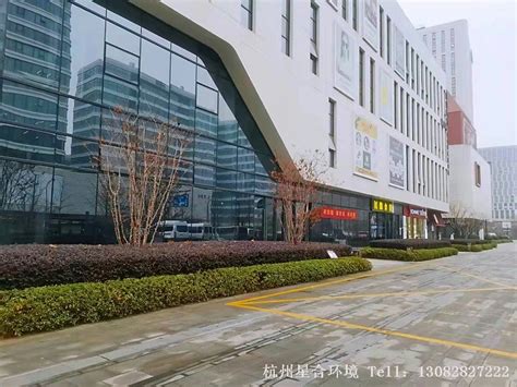 厂区绿化养护 德信天空之翼厂区绿化养护案例
