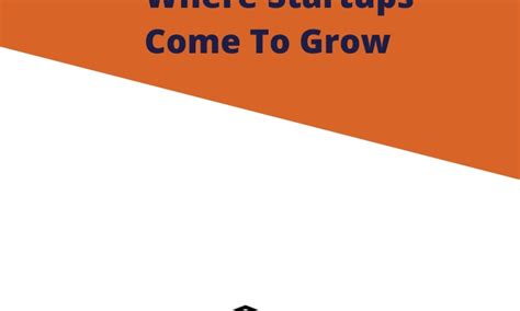 Velocity Growth Reviews View Portfolios Designrush