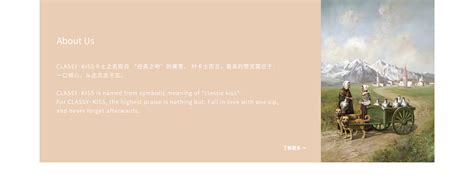 Classy·kiss卡士旗舰店 京东
