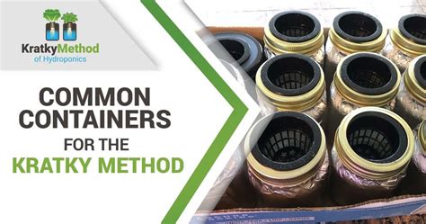 Common Containers For The Kratky Method Kratky Method Of Hydroponics