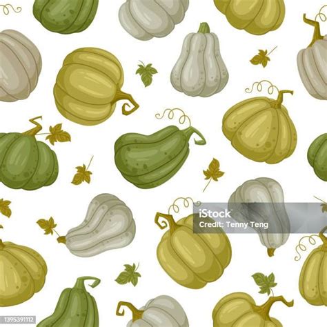 스쿼시 호박 원활한 패턴 만화 가을 수확 야채 끝없는 디자인 추수 감사절과 할로윈 호박 장식 벡터 배경 일러스트 레이 션 10월에 대한 스톡 벡터 아트 및 기타 이미지