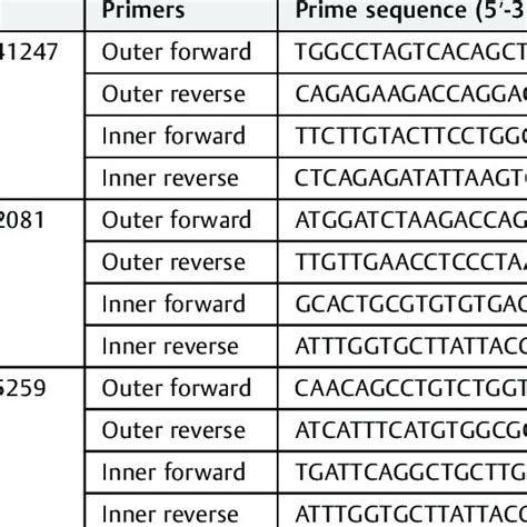 The Primers For MAFB SNP Genotyping By Tetra ARMS PCR Technique