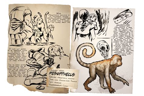 Mesopithecus Ark Official Community Wiki