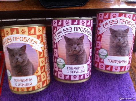 Корм для кошек "Ем без проблем" Мясные консервы - «Полноценная еда, для ...