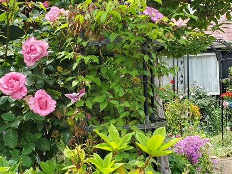 那須塩原市エステrosefairy🌸エステ理念」