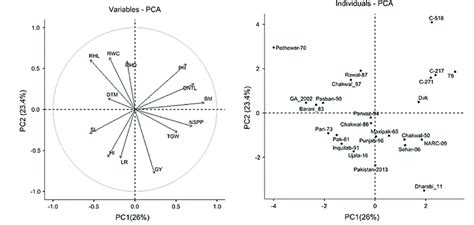 the pca plot showing the loading of variables root hair length and