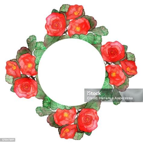 수채화 손 그린 자연 홈 식물 꽃 둥근 프레임 빨간 꽃과 녹색 잎에 대한 초대장과 텍스트 에 대한 공간 인사말 카드 0명에 대한 스톡 벡터 아트 및 기타 이미지 Istock