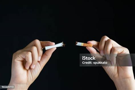 세계 담배 일 5 월 31 일 담배를 끊어 여자 손 분쇄 하거나 파괴 하는 검은 배경에 담배를 닫습니다 개념에 대한 스톡 사진