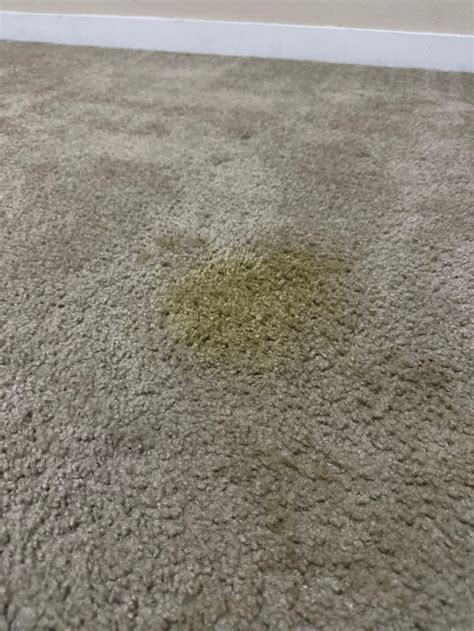 Clean Cough Syrup Stain Rcleaningtips