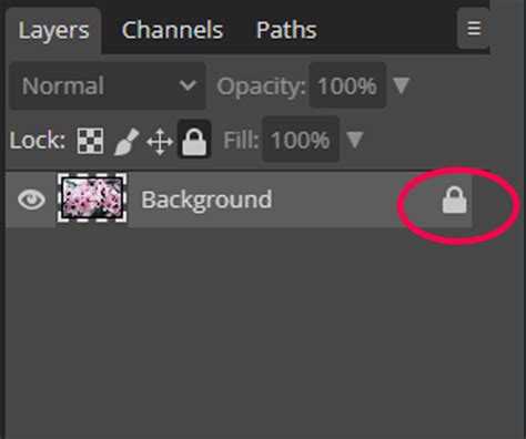 How To Move Rotate Flip Scale Duplicate An Image In Photopea