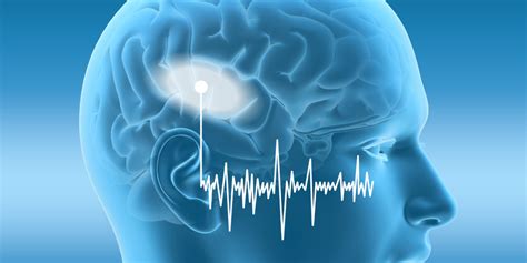Gustatory Cortex
