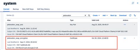 Migrate Soap Axis Ws Security From Sap Process O Sap Community