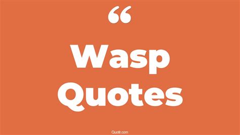 45 Seductive Wasp Quotes That Will Unlock Your True Potential