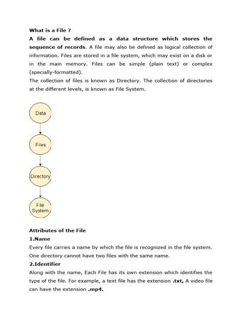 File Management Pdf Computer File File System