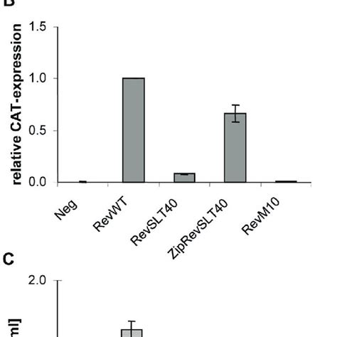 A The Rna Binding Domain Nuclear Localization Signal Rbd Is Flanked