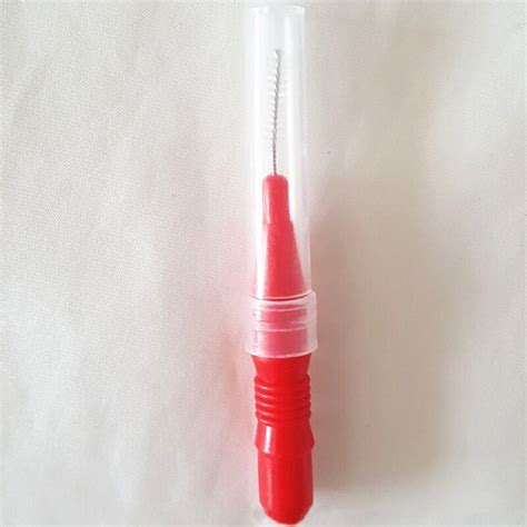 50pcs Mini Teeth Cleaning Floss Steel Nylon Interd Grandado