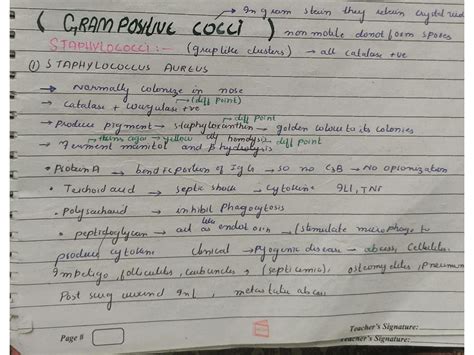 Solution Microbiology Lecture Gram Positive Cocci Staphylococcus And
