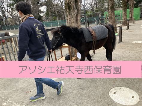 乗馬体験に行ったよ♪ アソシエブログ