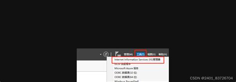 Windowsserver2016上搭建web服务器：步骤详解 Csdn博客