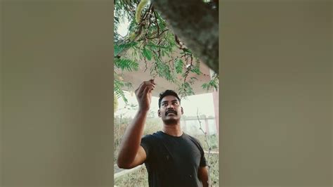இசை ஞானி இளையராஜா ஐயா அவர்களின் அற்புதமான இசையில் ஒலித்த பாடல்