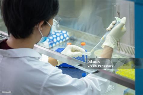 아시아 과학자는 마이크로 파이프를 사용하여 장갑과 실험실 코트를 착용하고 생물 안전 후드의 튜브로 샘플을 전송합니다 항 코로나
