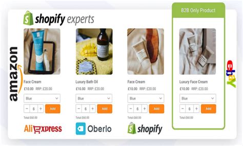 Do Shopify Product Listing And Data Entry By Marufkash Fiverr