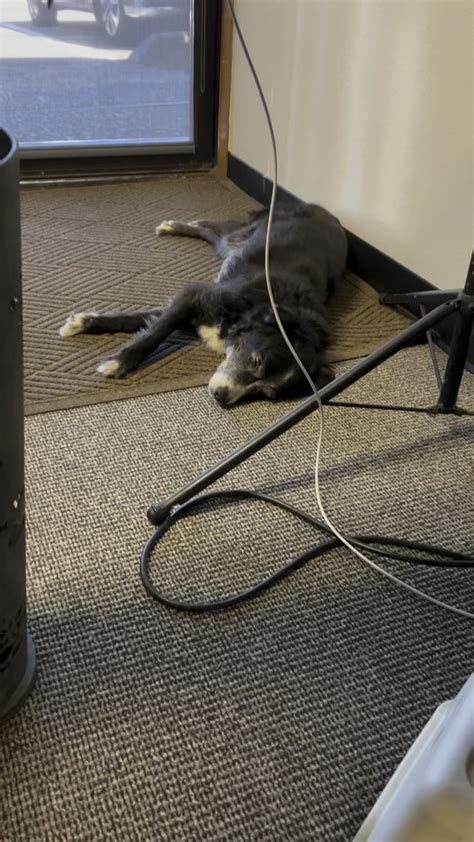 Caught My Old Man Sleeping On The Job R Mademesmile