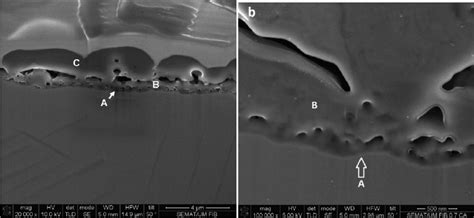 SEM Micrograph Of An FIB Prepared Cross Section Of The 015CA Sample Download Scientific Diagram