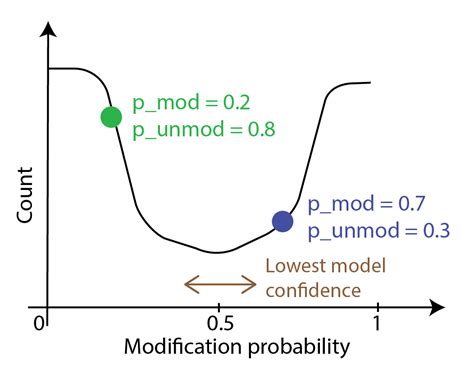 Manipulation Of Base Modification Data · Detection Of Dna Base